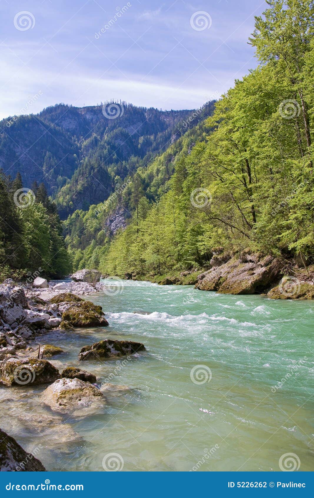 Alpine river stock photo. Image of rainforest, river, beautiful - 5226262