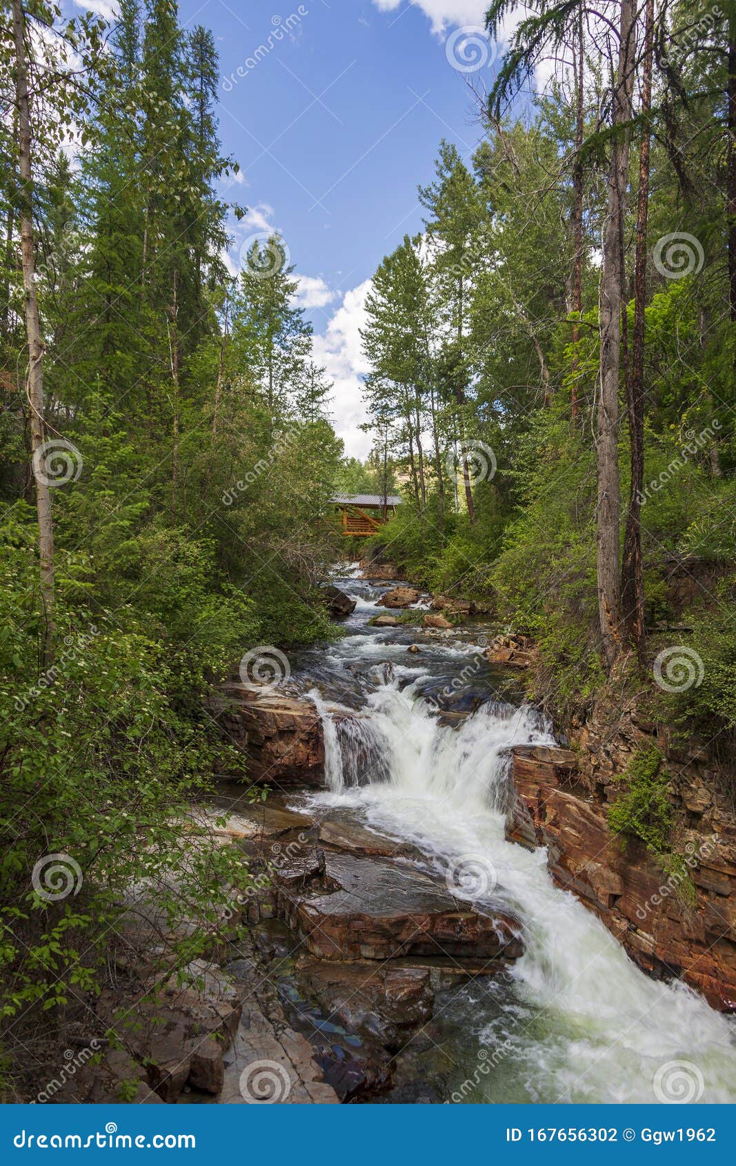Alpine river stock photo. Image of bridge, nature, environmental ...