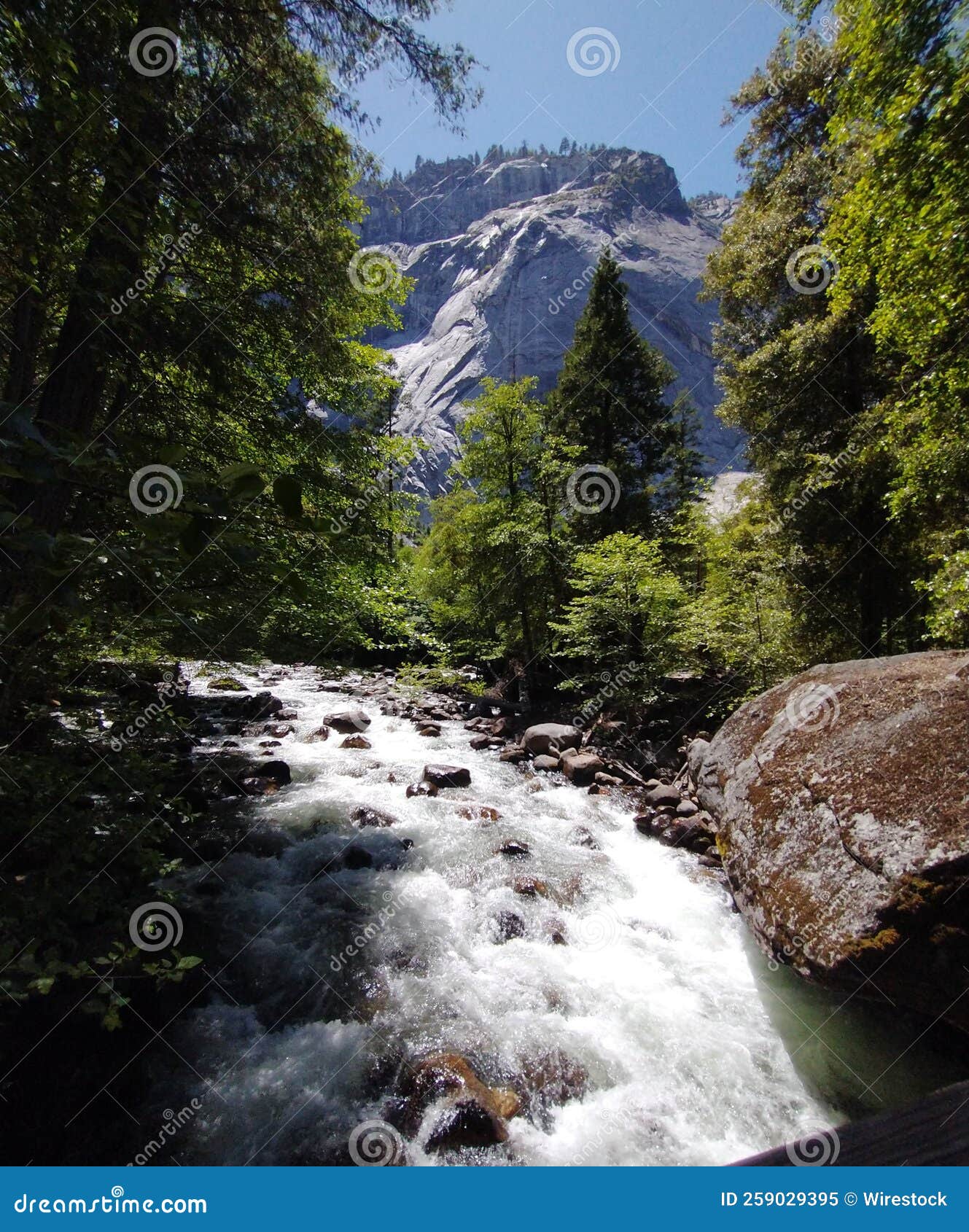 Alpine River Flowing through Forest Stock Image - Image of scenic ...