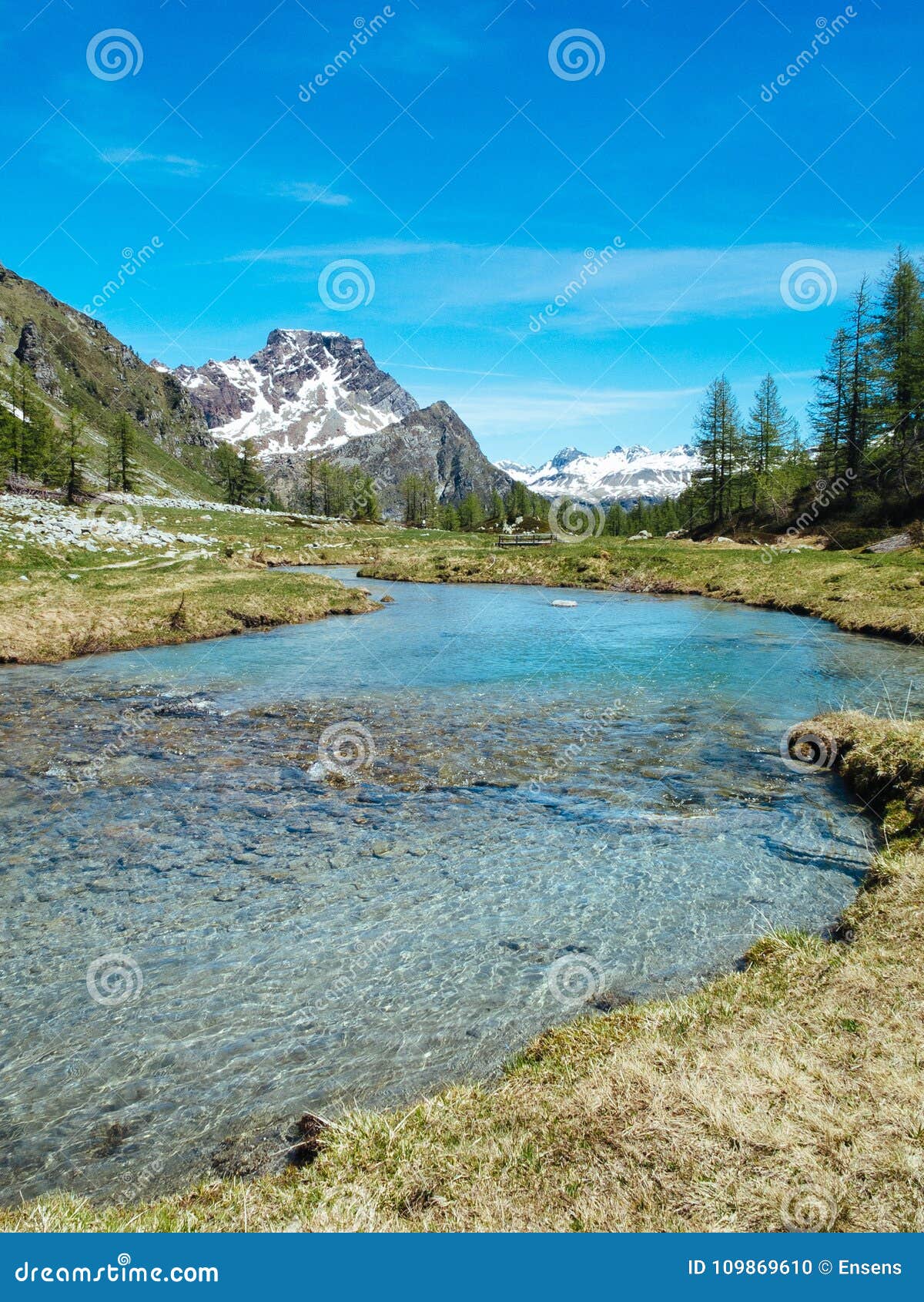 Alpine River Stream Flowing among Alpine Meadows of the Devero a Stock ...
