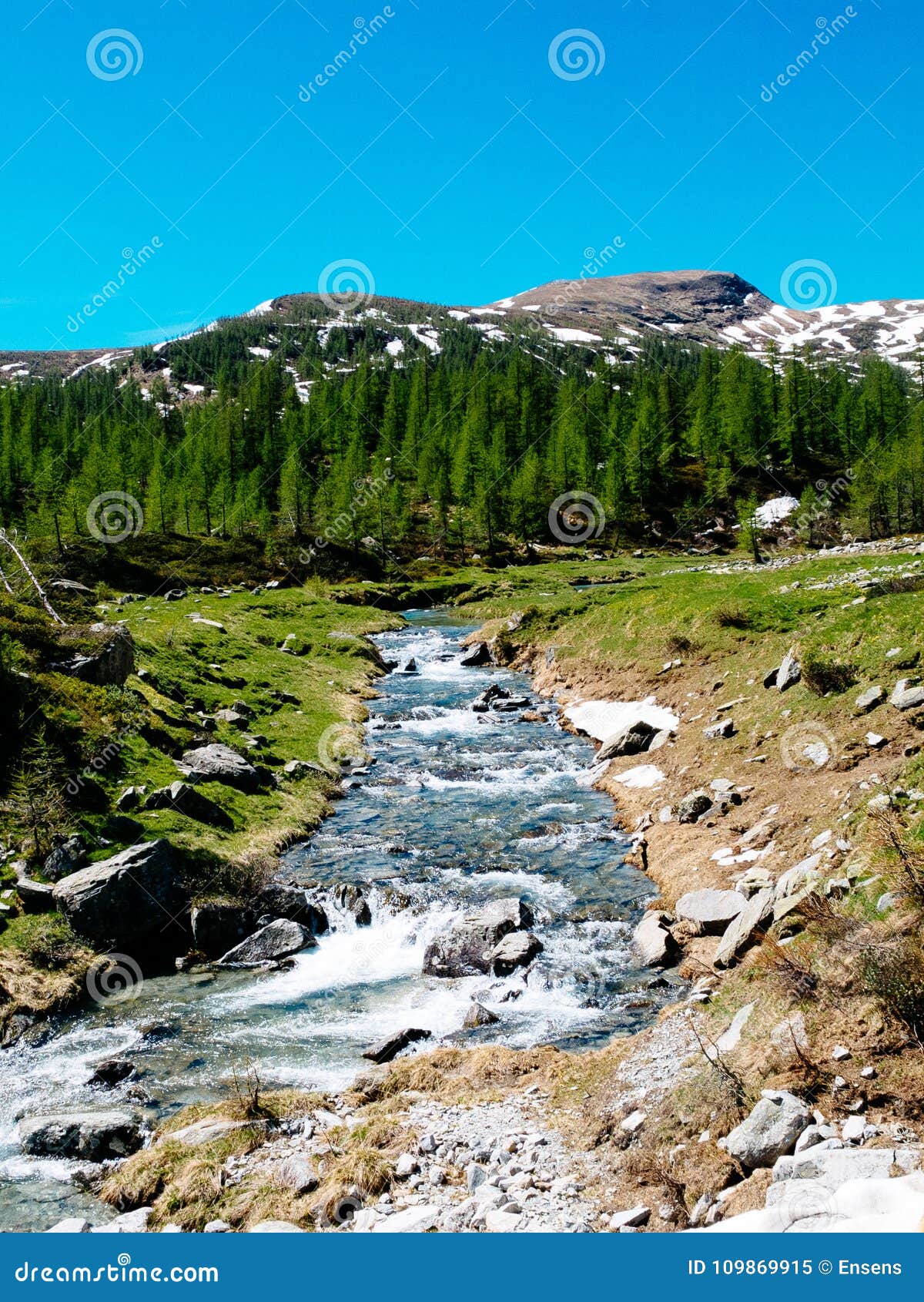 Alpine River Stream Flowing among Alpine Meadows of the Devero a Stock ...