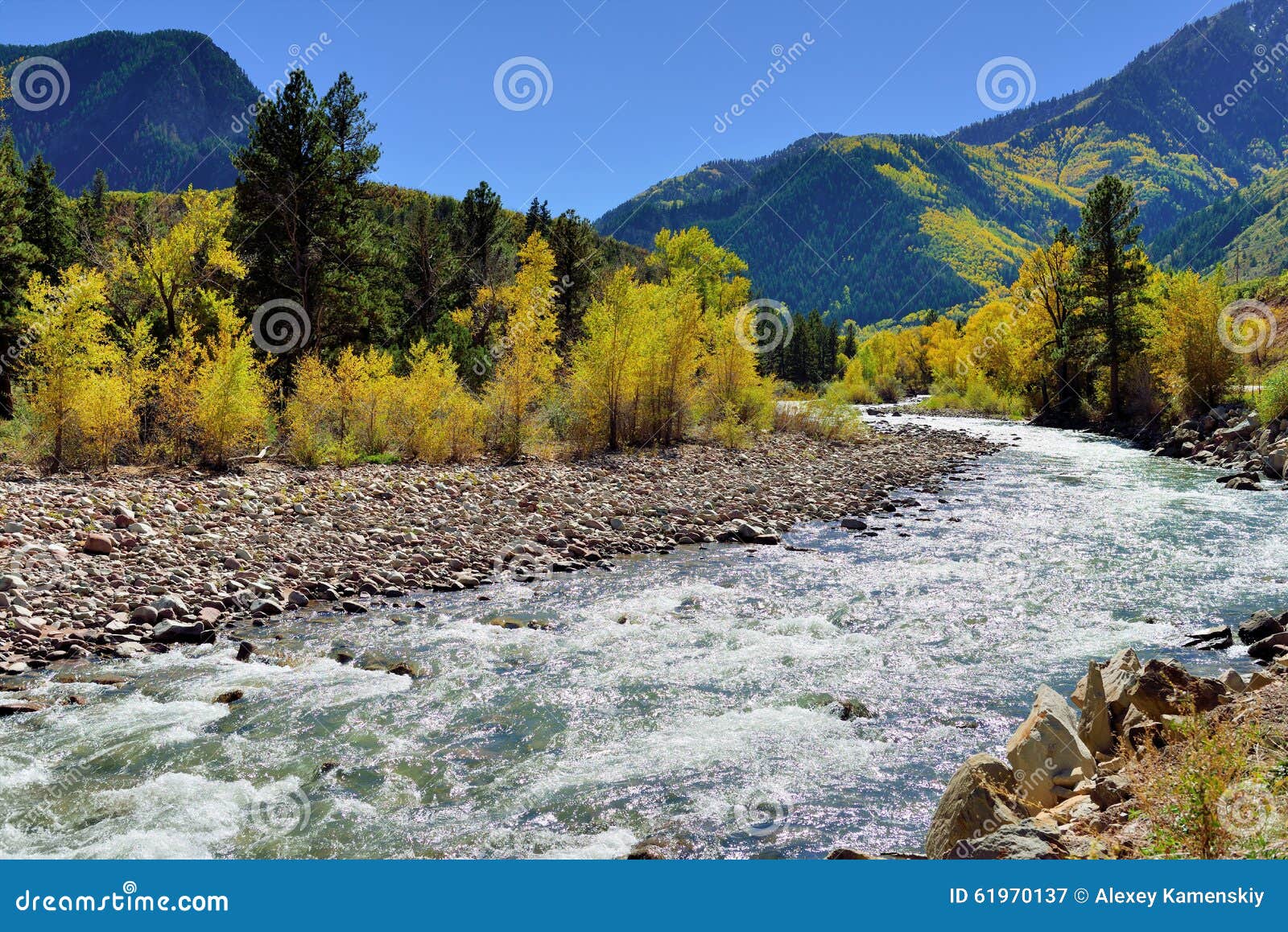 Alpine River and Yellow Aspen Stock Image - Image of aspen, landscape ...