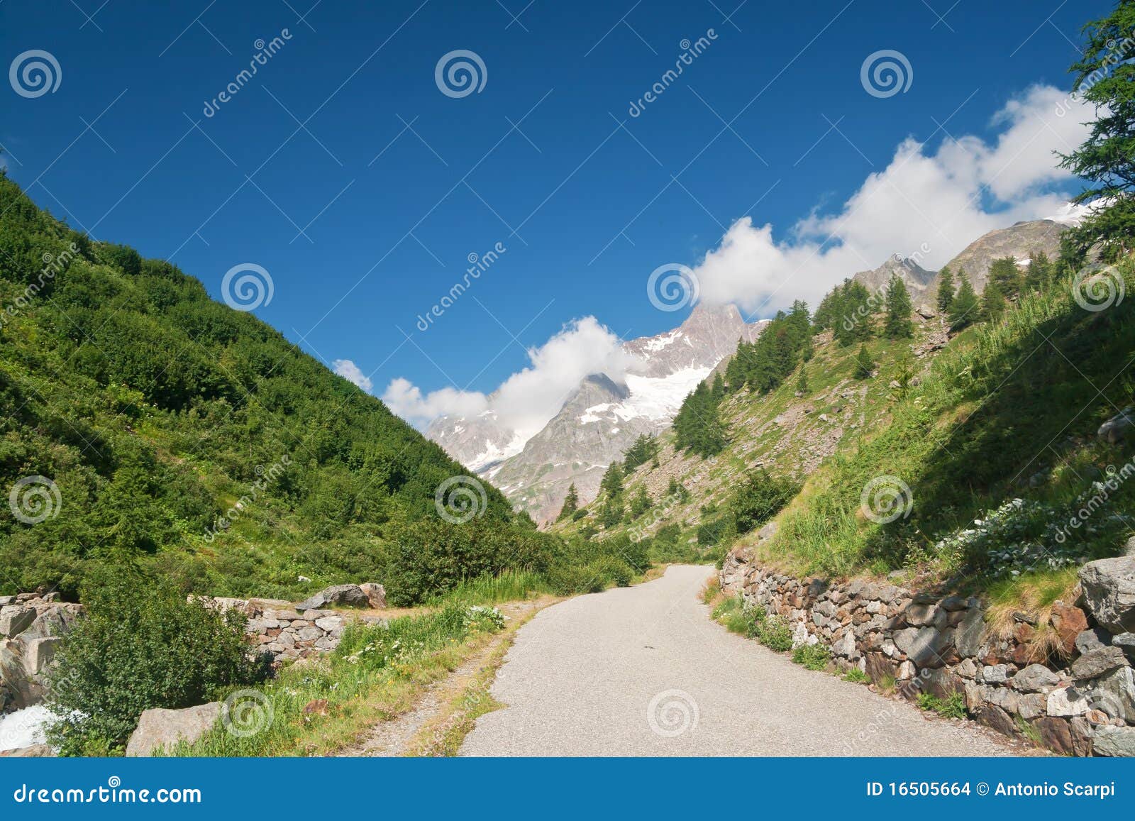 Alpine road stock photo. Image of panorama, mountains - 16505664