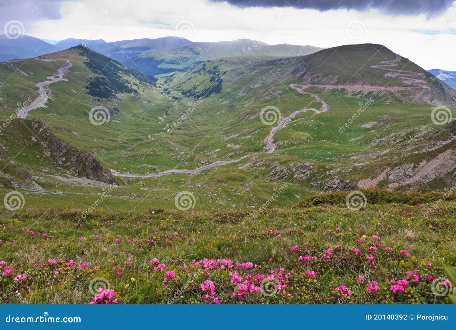 Alpine road stock photo. Image of morning, nature, beautiful - 20140392