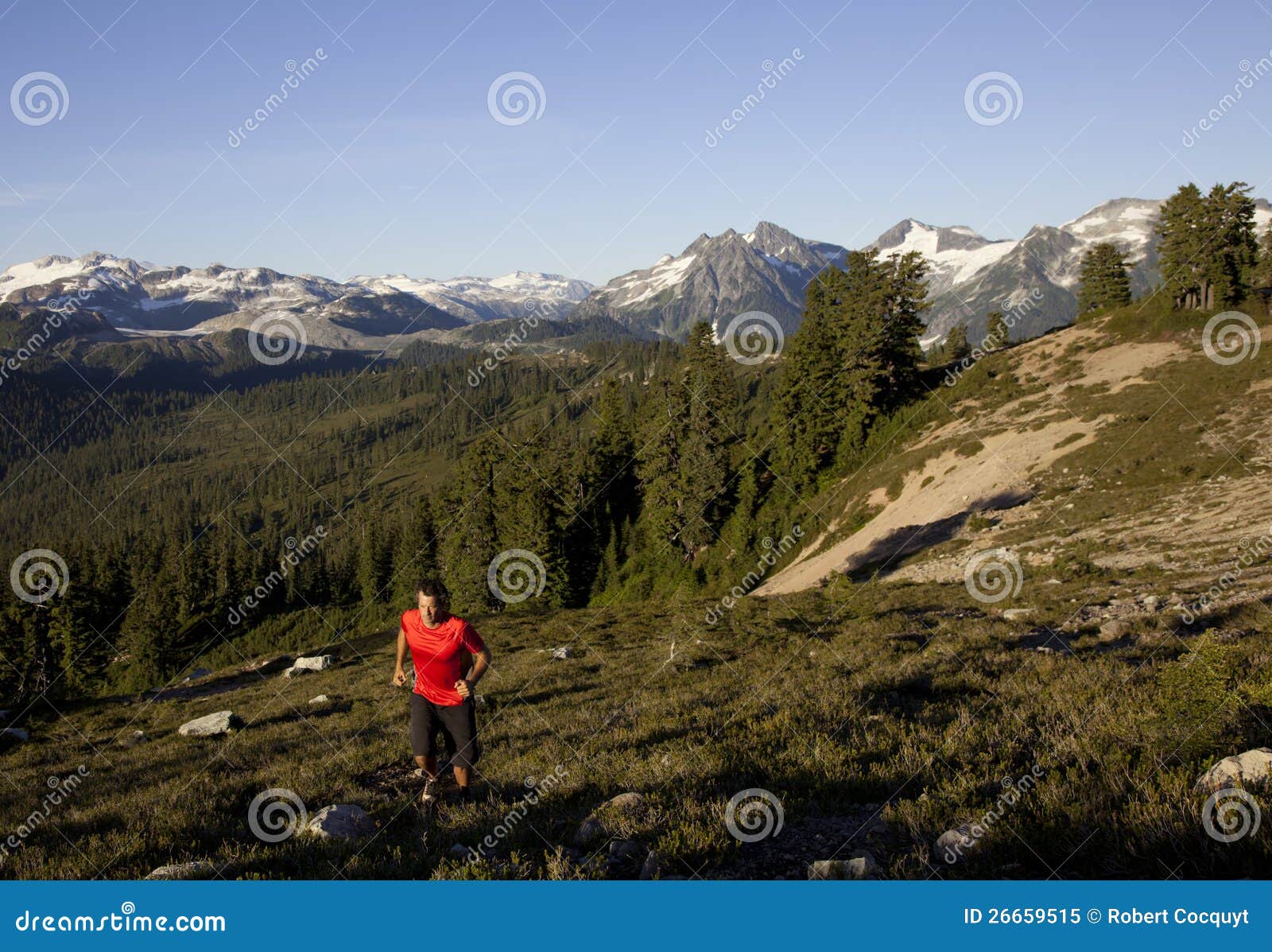 Alpine Running stock image. Image of people, health, outside - 26659515