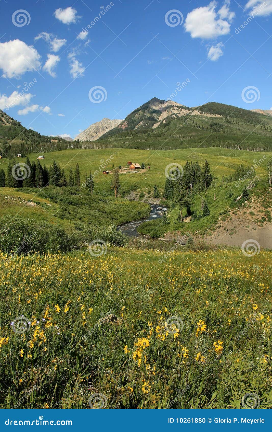 Alpine Scene stock photo. Image of green, pasture, cabin - 10261880