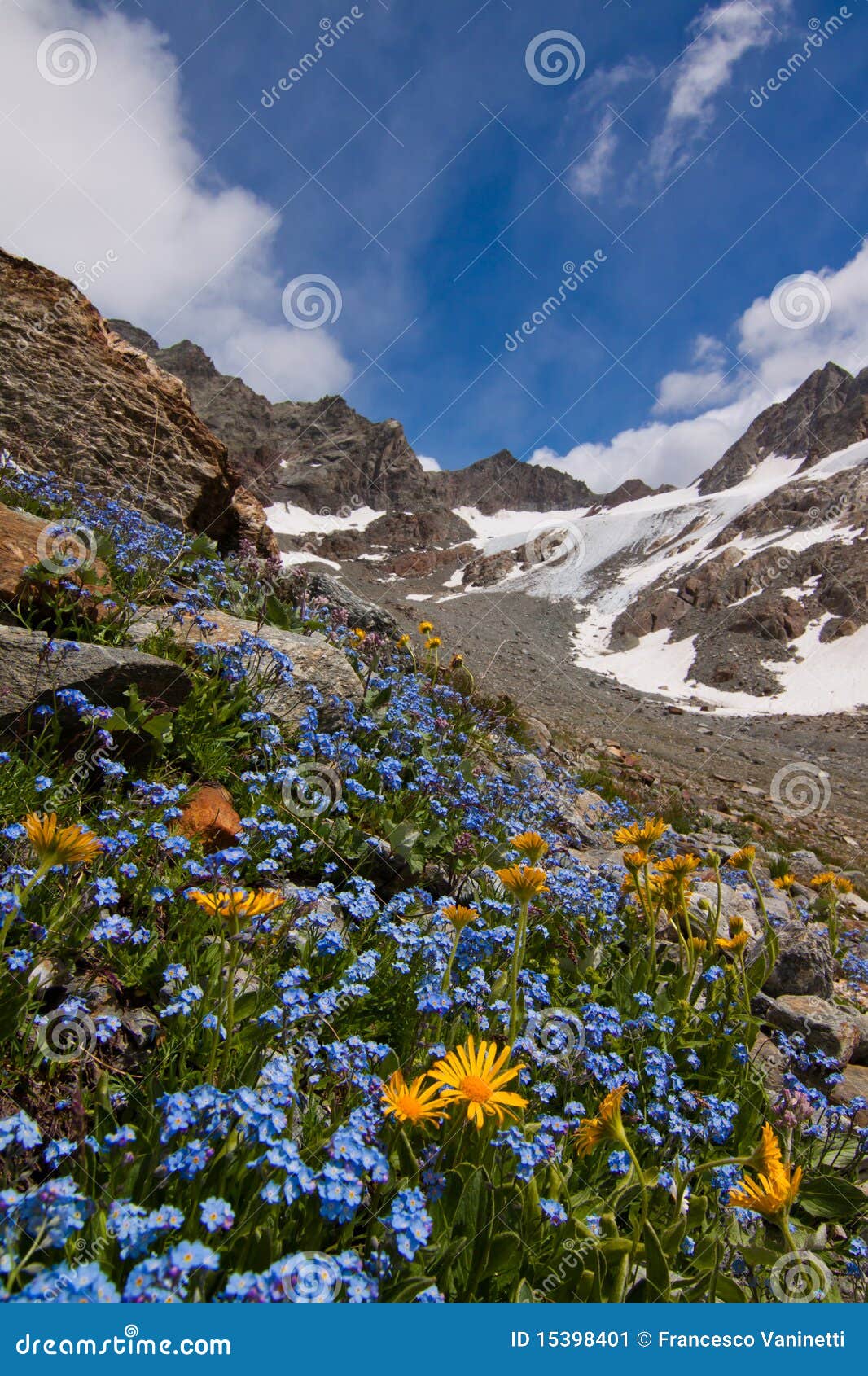 Alpine scene stock image. Image of backdrop, relax, daisy - 15398401