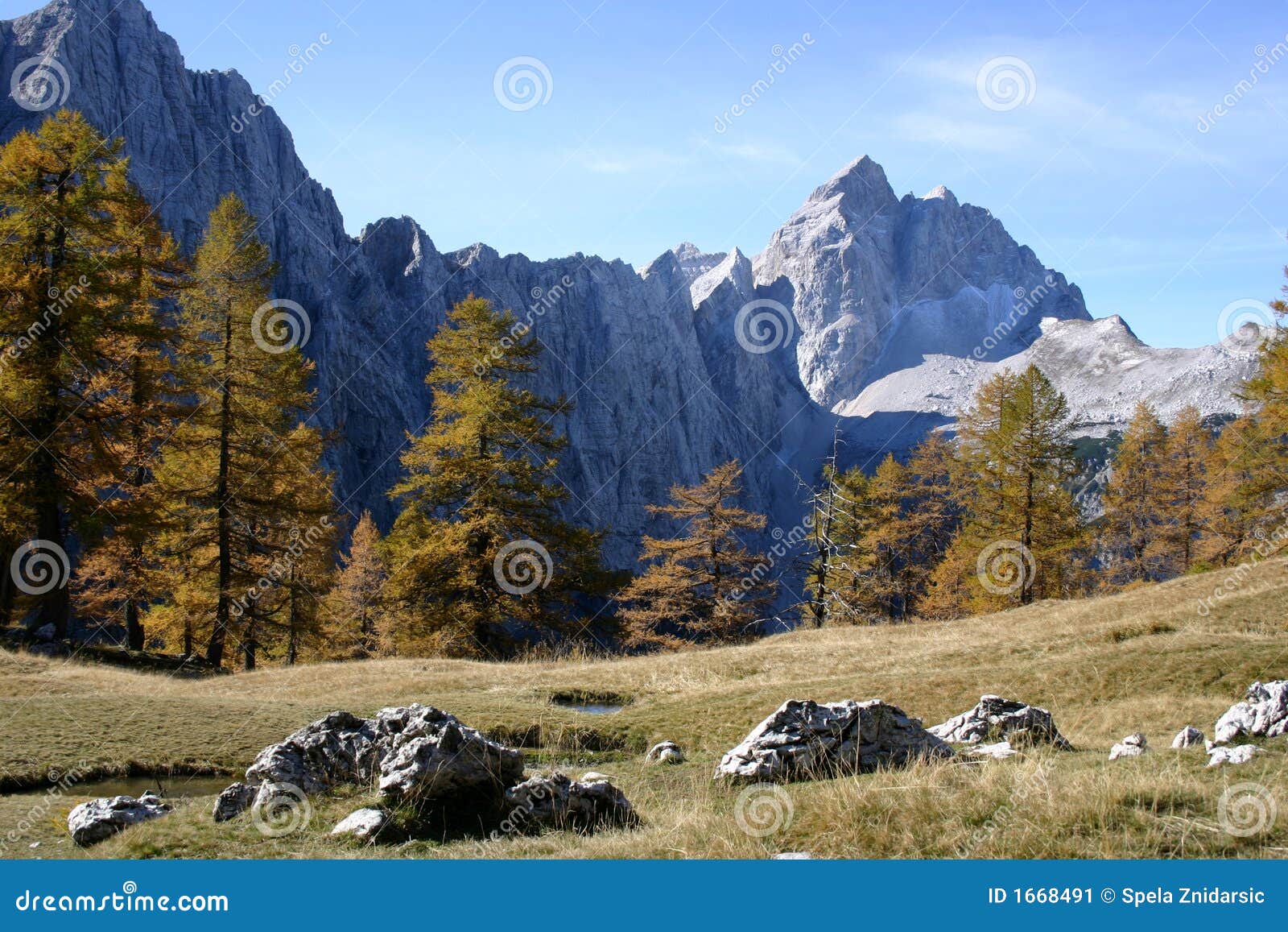 Alpine scene stock image. Image of trees, colourful, climber - 1668491