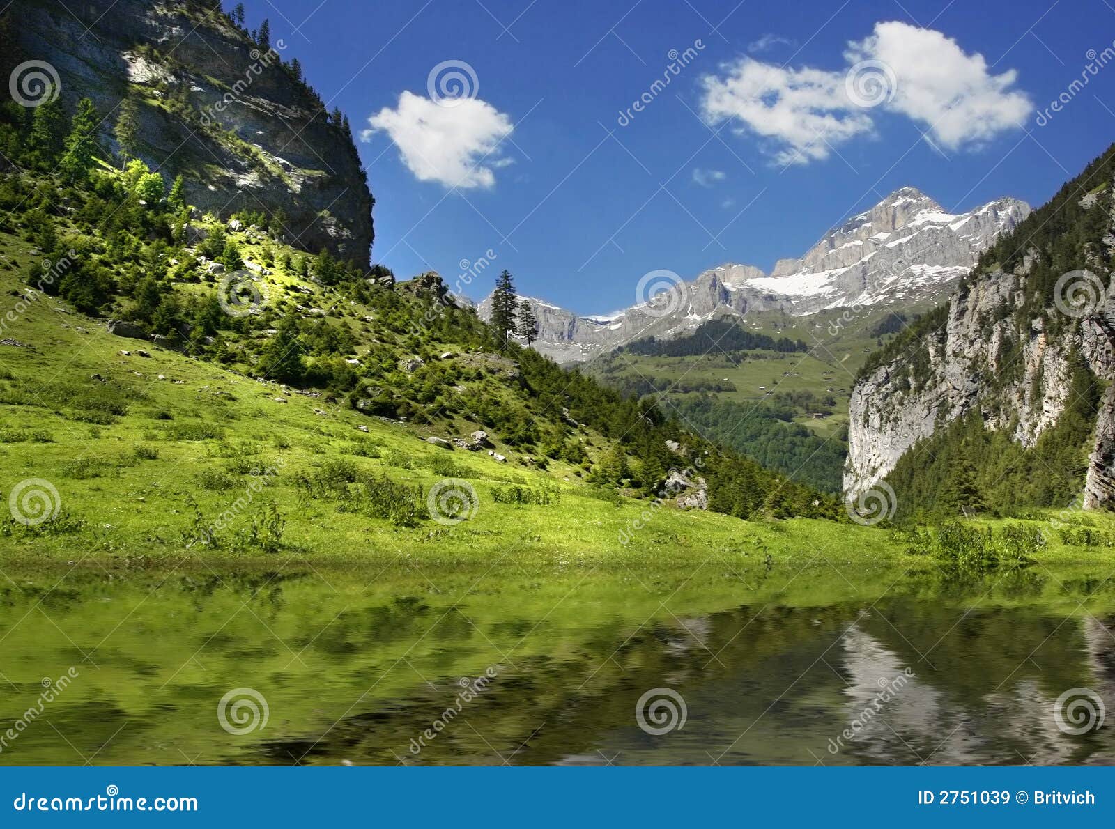 Alpine scene stock image. Image of hills, flowers, floral - 2751039