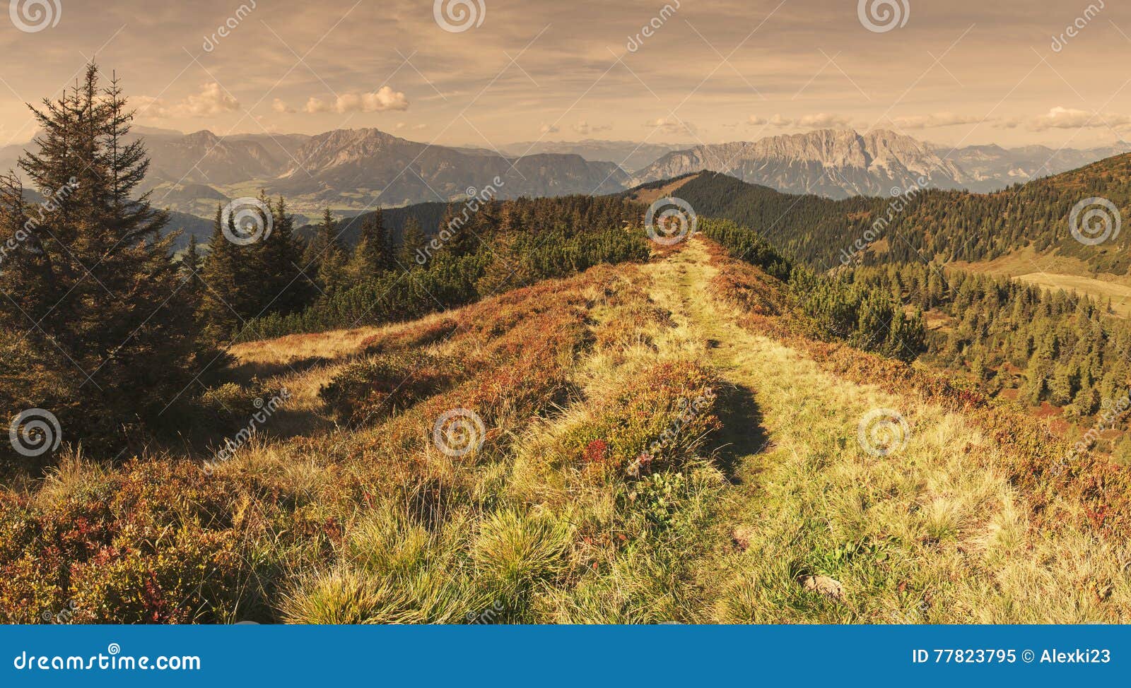 Alpine scene stock image. Image of landscape, hill, footpath - 77823795