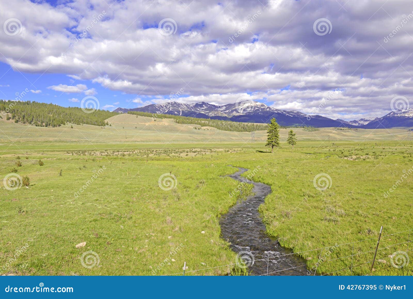 53,991 Alpine Mountains Forest Scene Stock Photos - Free & Royalty-Free ...