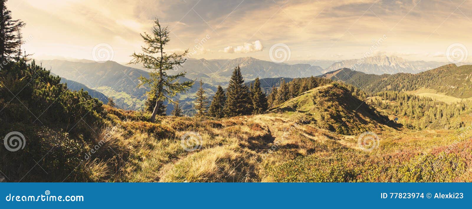 Alpine scene stock photo. Image of ennstal, scenic, alpine - 77823974