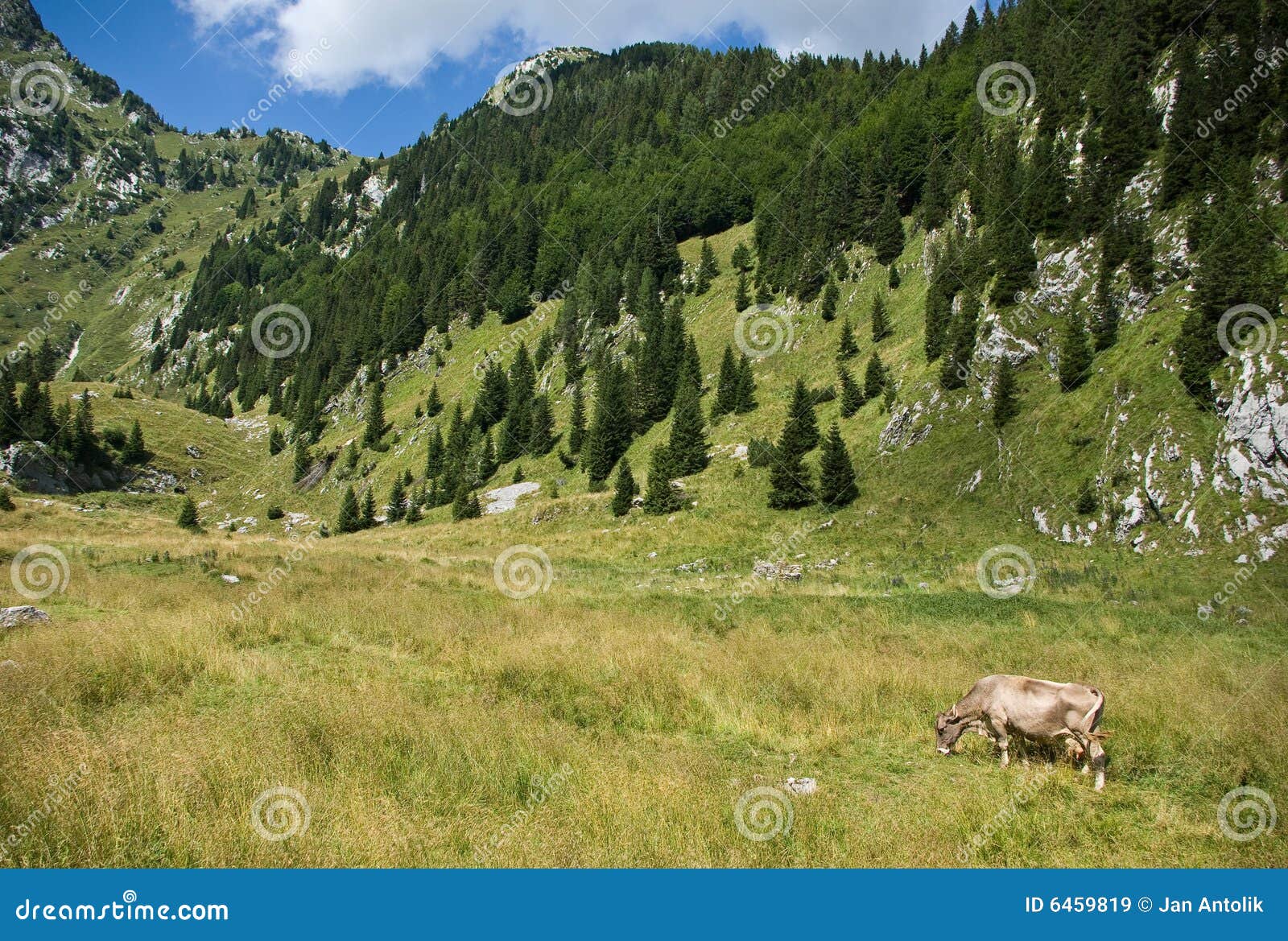 Alpine scenery stock image. Image of alpine, slovenia - 6459819