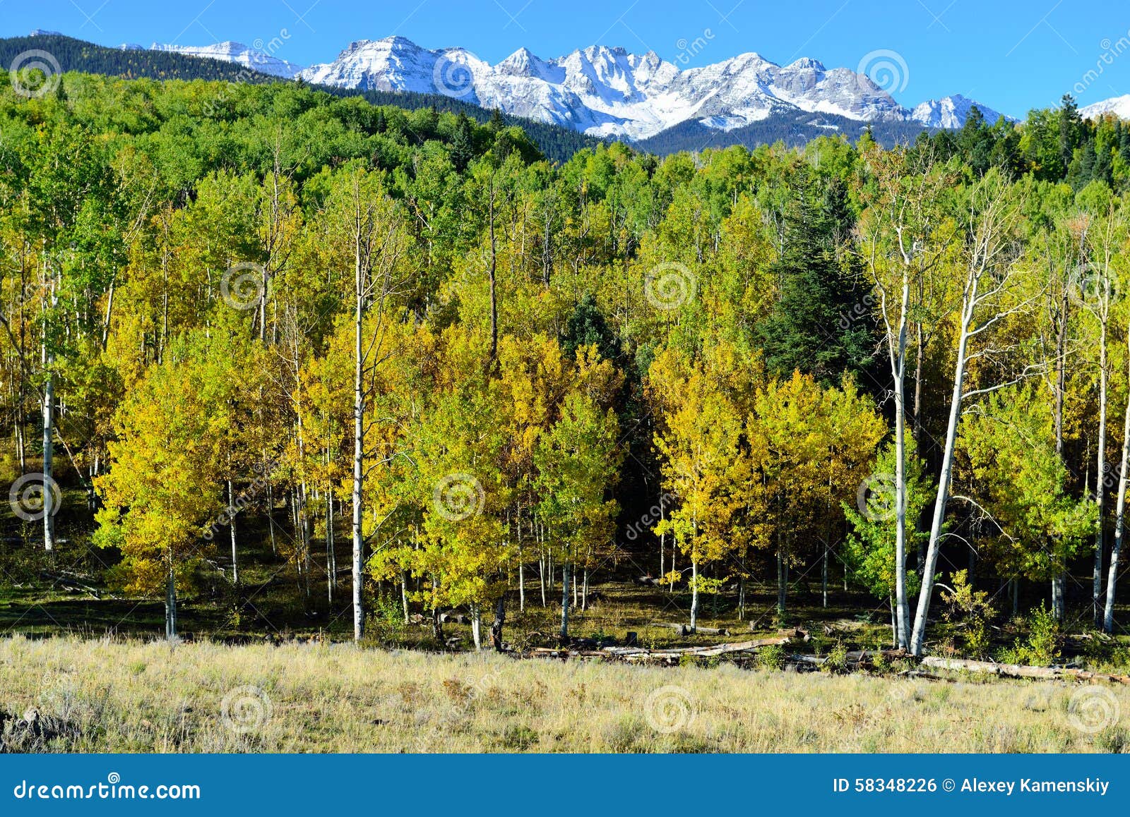 Alpine Scenery of Colorado during Foliage Stock Photo - Image of camp ...