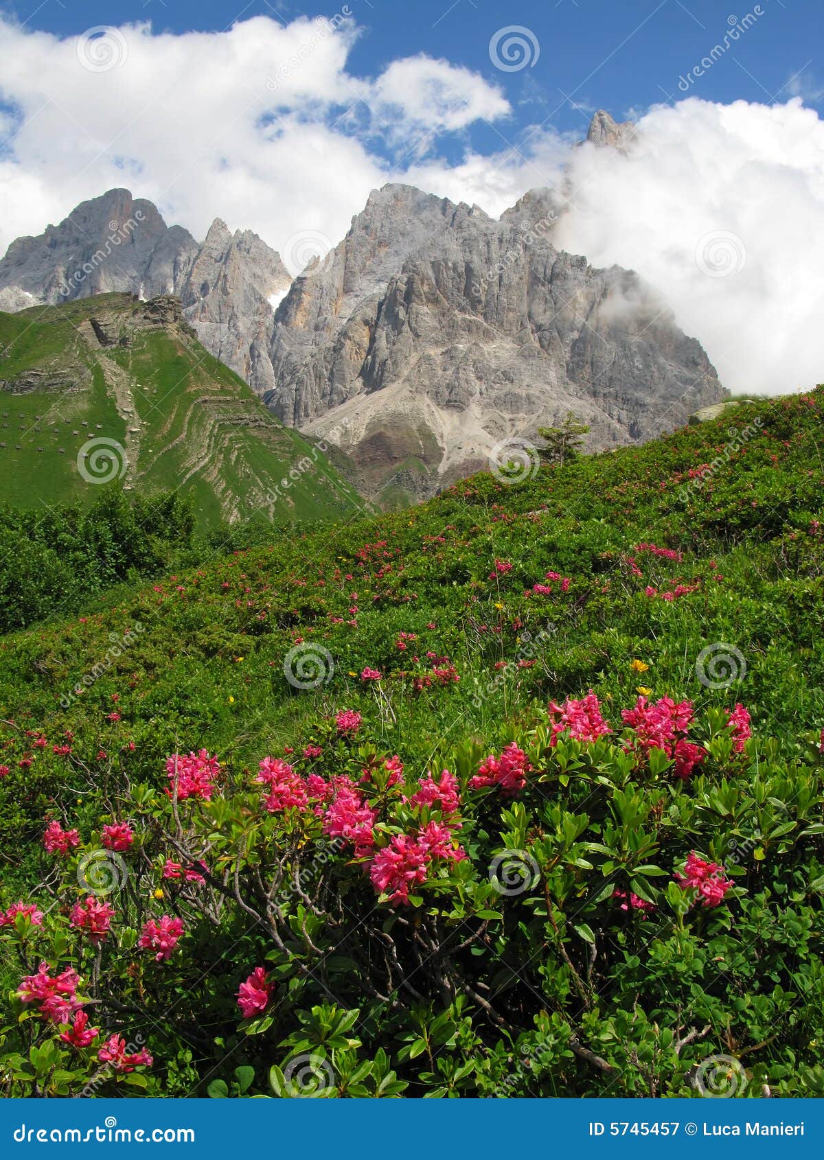 Alpine scenic stock image. Image of mountain, landmark - 5745457