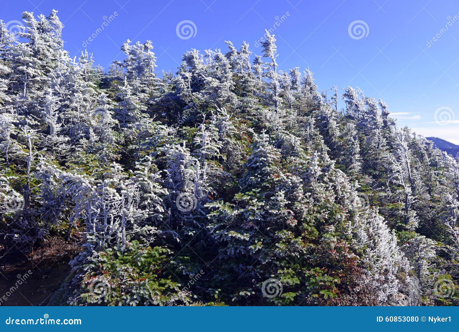 Alpine Setting in the Adirondack Mountains, New York State Stock Photo ...