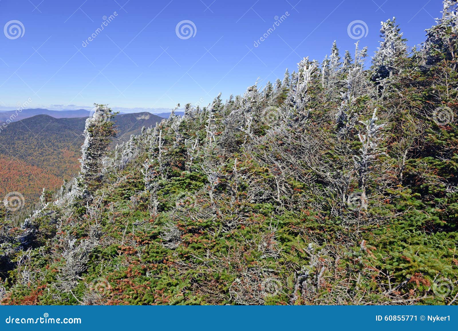 Alpine Setting in the Adirondack Mountains, New York State Stock Image ...