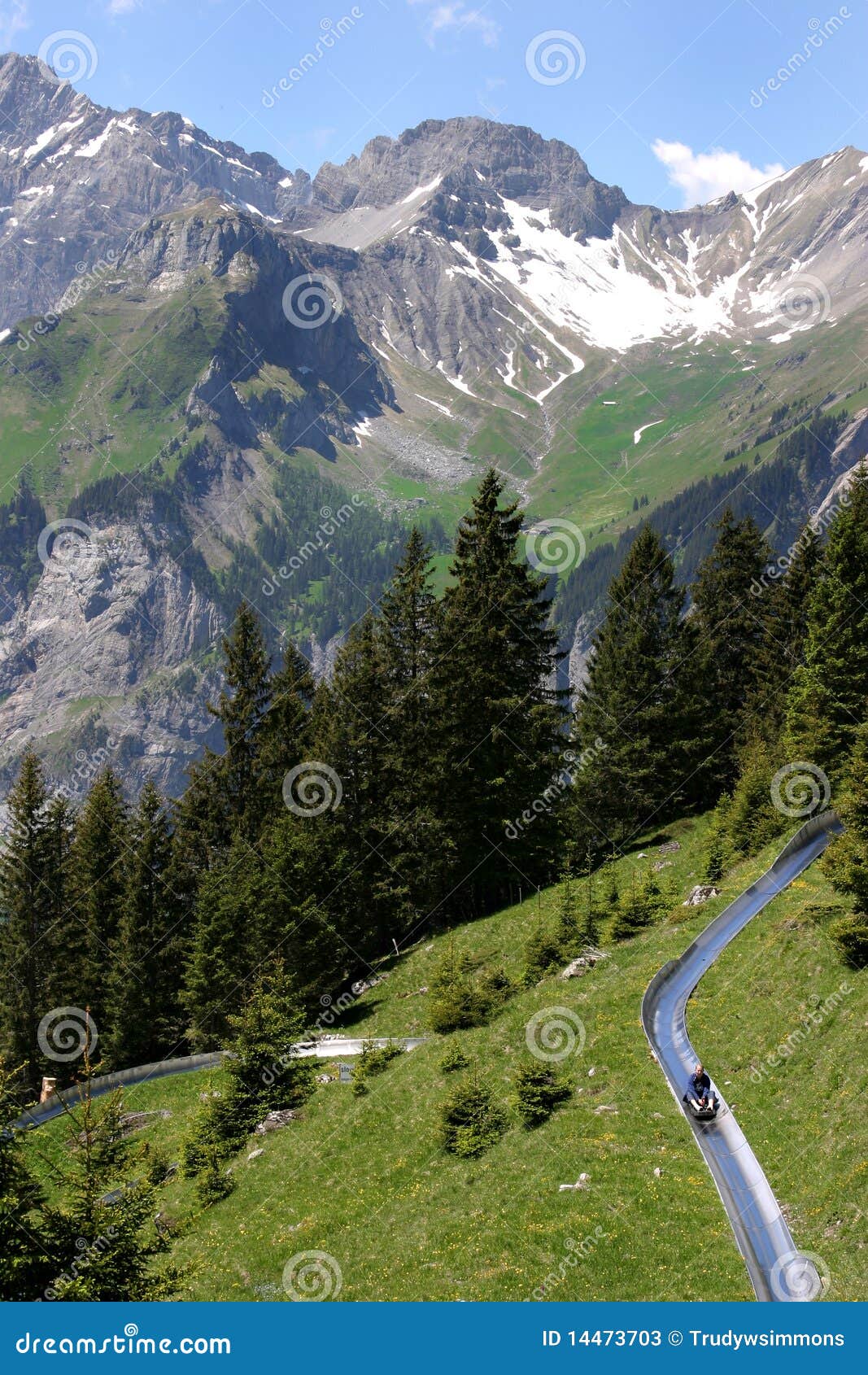 Alpine Slide In The Swiss Alps Stock Photos - Image: 14473703