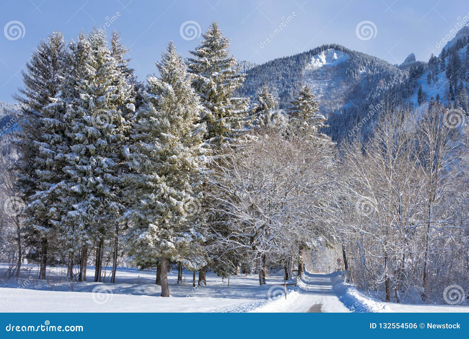 Alpine in the snow stock photo. Image of rock, pretty - 132554506