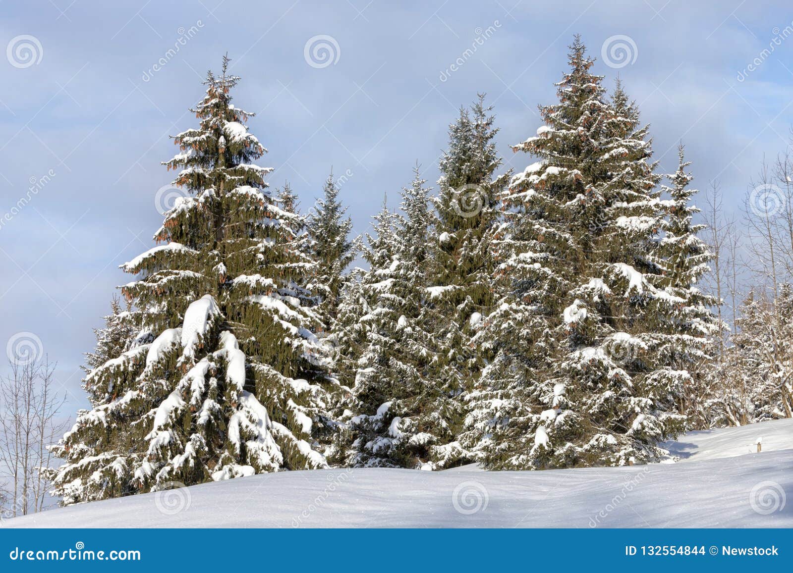 Alpine in the snow stock photo. Image of peak, season - 132554844