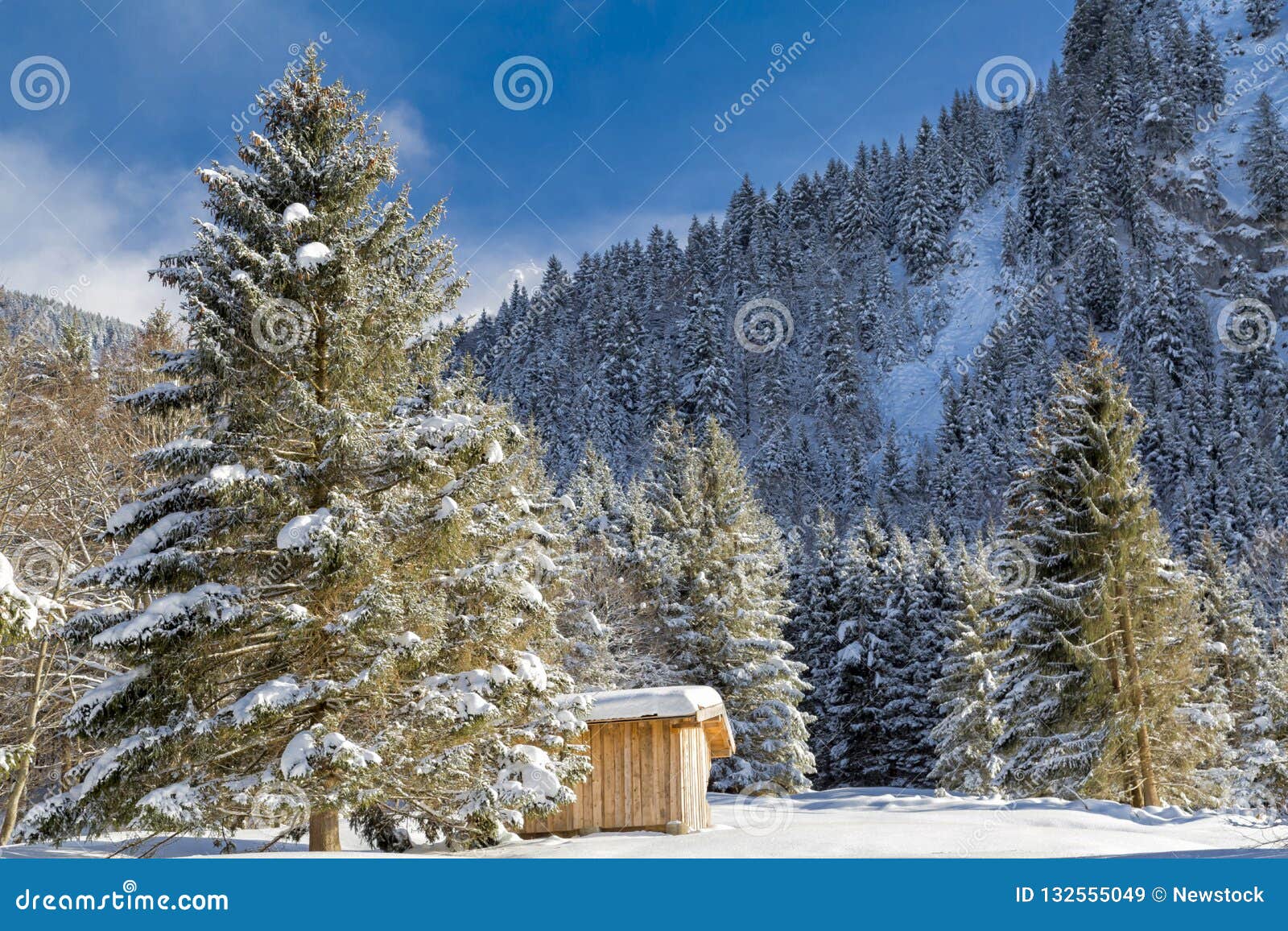 Alpine in the snow stock image. Image of rural, mountain - 132555049