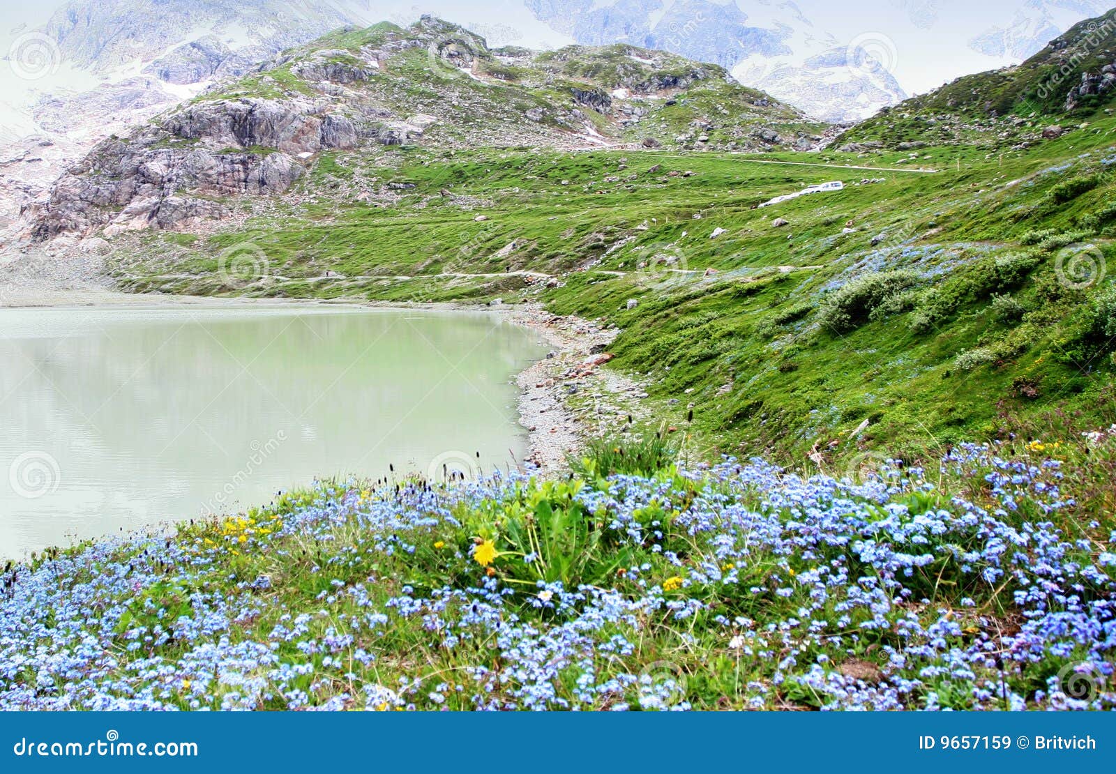 Alpine spring stock image. Image of grand, swiss, saint - 9657159