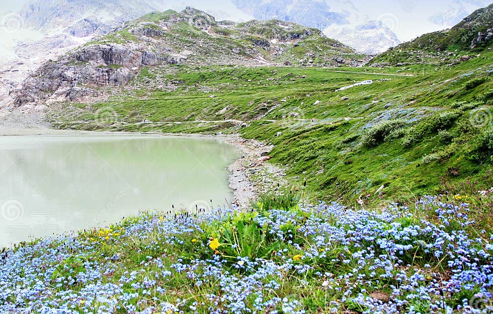 Alpine spring stock image. Image of grand, swiss, saint - 9657159