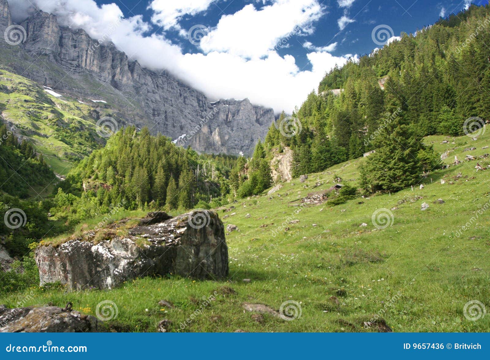 Alpine spring stock photo. Image of climbing, flower, landscape - 9657436