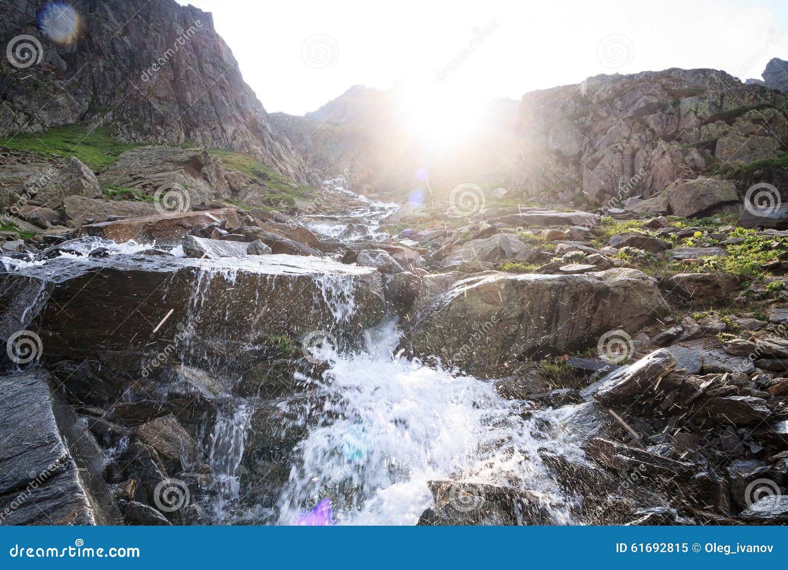 Alpine spring stock image. Image of altitude, height - 61692815