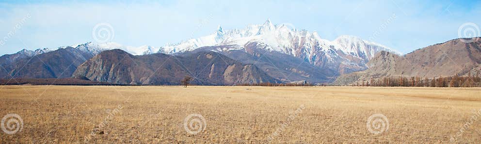 Alpine steppe stock photo. Image of area, beauty, fence - 17458250