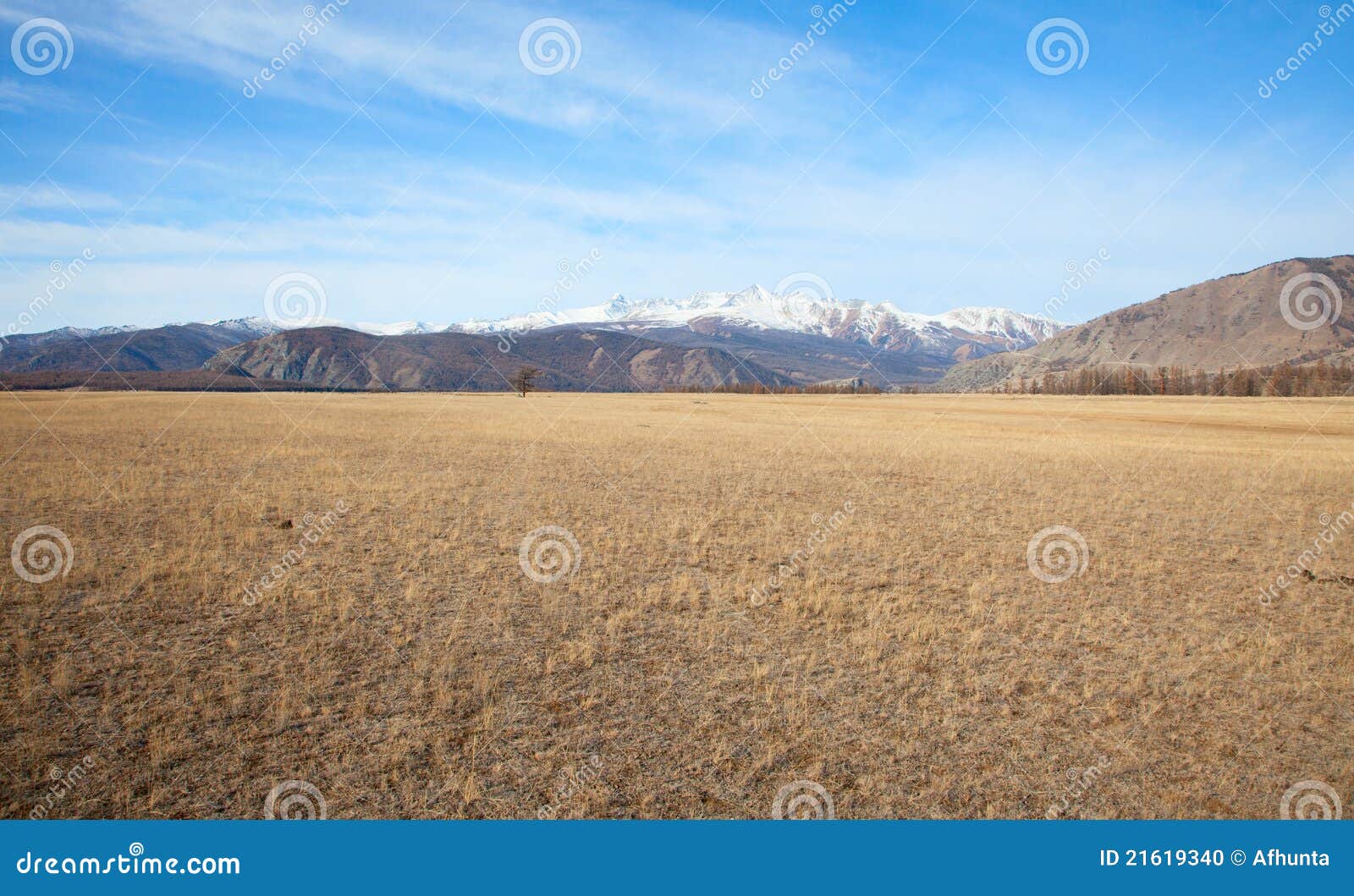 Alpine steppe stock photo. Image of blue, landscape, green - 21619340