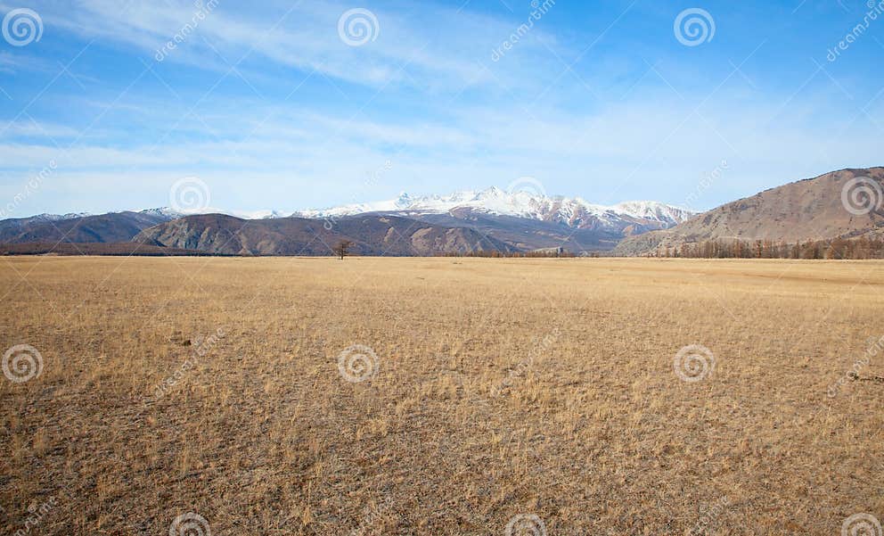 Alpine steppe stock photo. Image of blue, landscape, green - 21619340