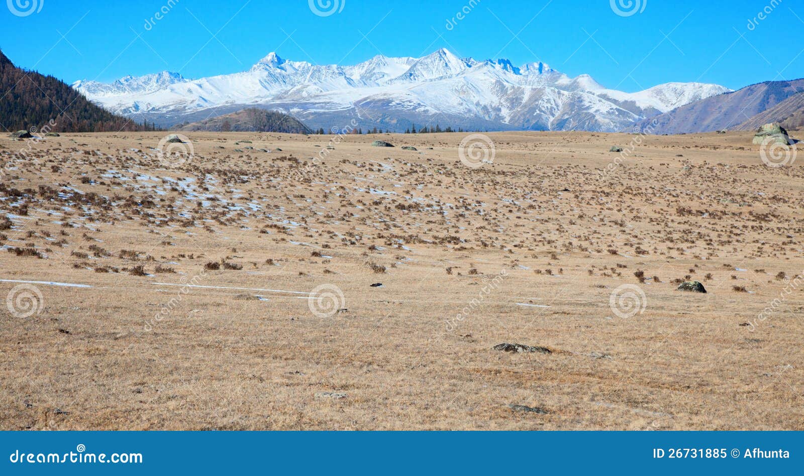 Alpine steppe stock image. Image of altai, range, outdoors - 26731885