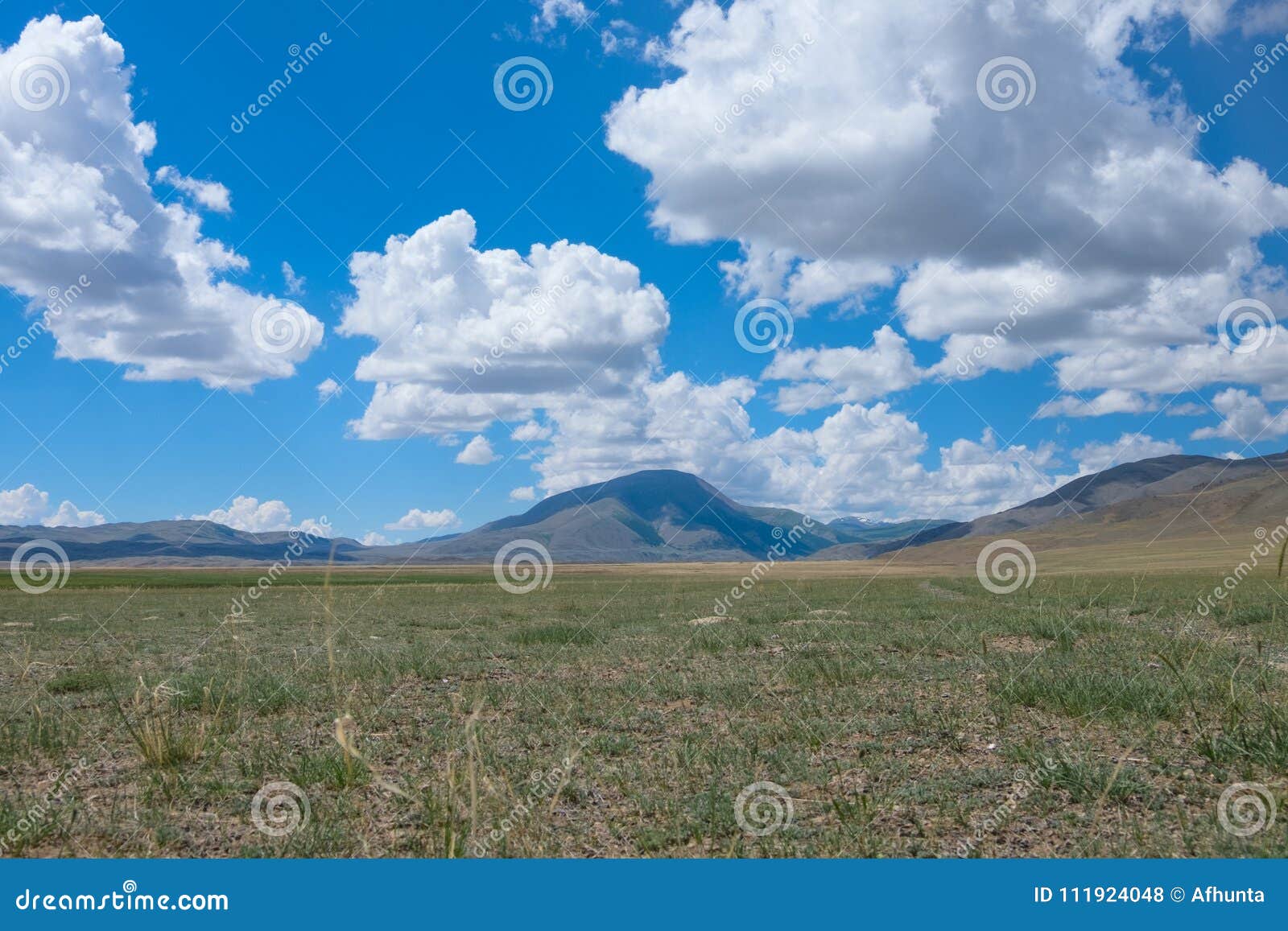 Alpine steppe stock photo. Image of asia, desert, altai - 111924048