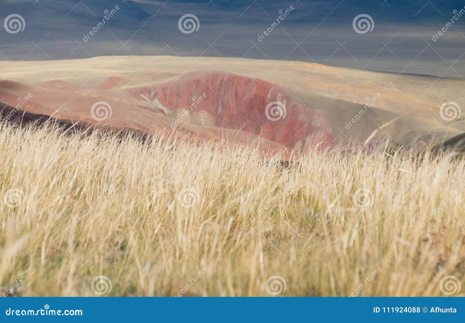Alpine steppe stock photo. Image of culture, steppe - 111924088