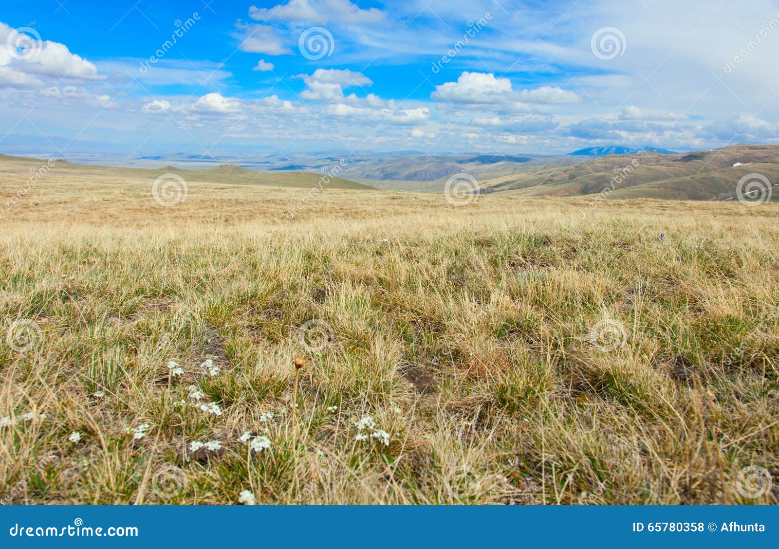 The Alpine Steppe in the Mountains of Central Asia Stock Photo - Image ...