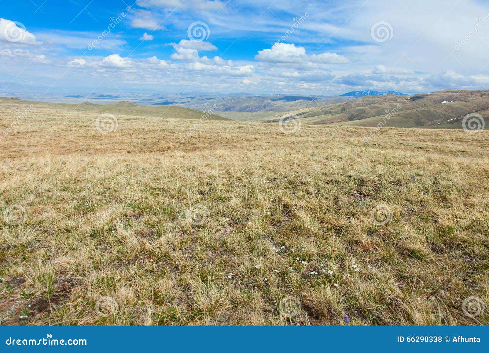 The Alpine Steppe in the Mountains of Central Asia Stock Photo - Image ...