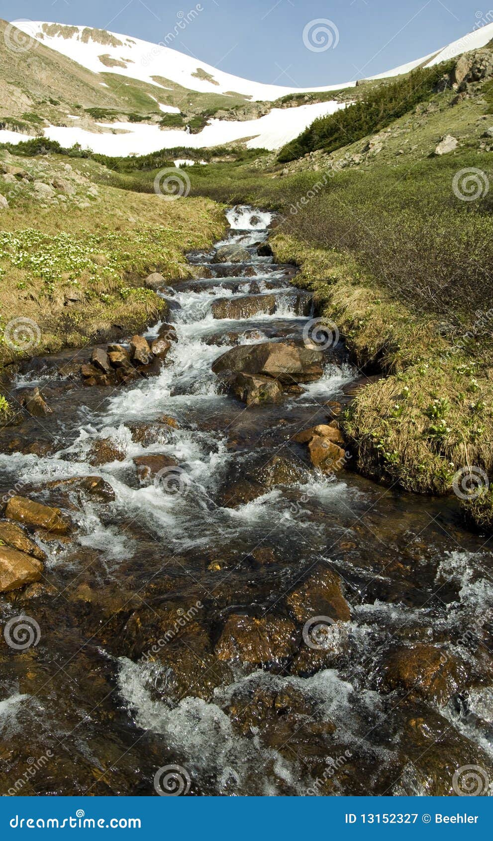 Alpine stream stock image. Image of running, field, glacier - 13152327