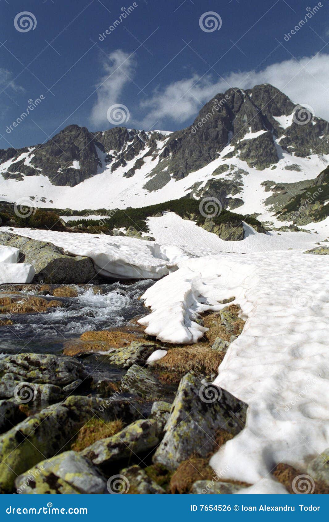 Alpine stream stock photo. Image of park, springtime, stony - 7654526