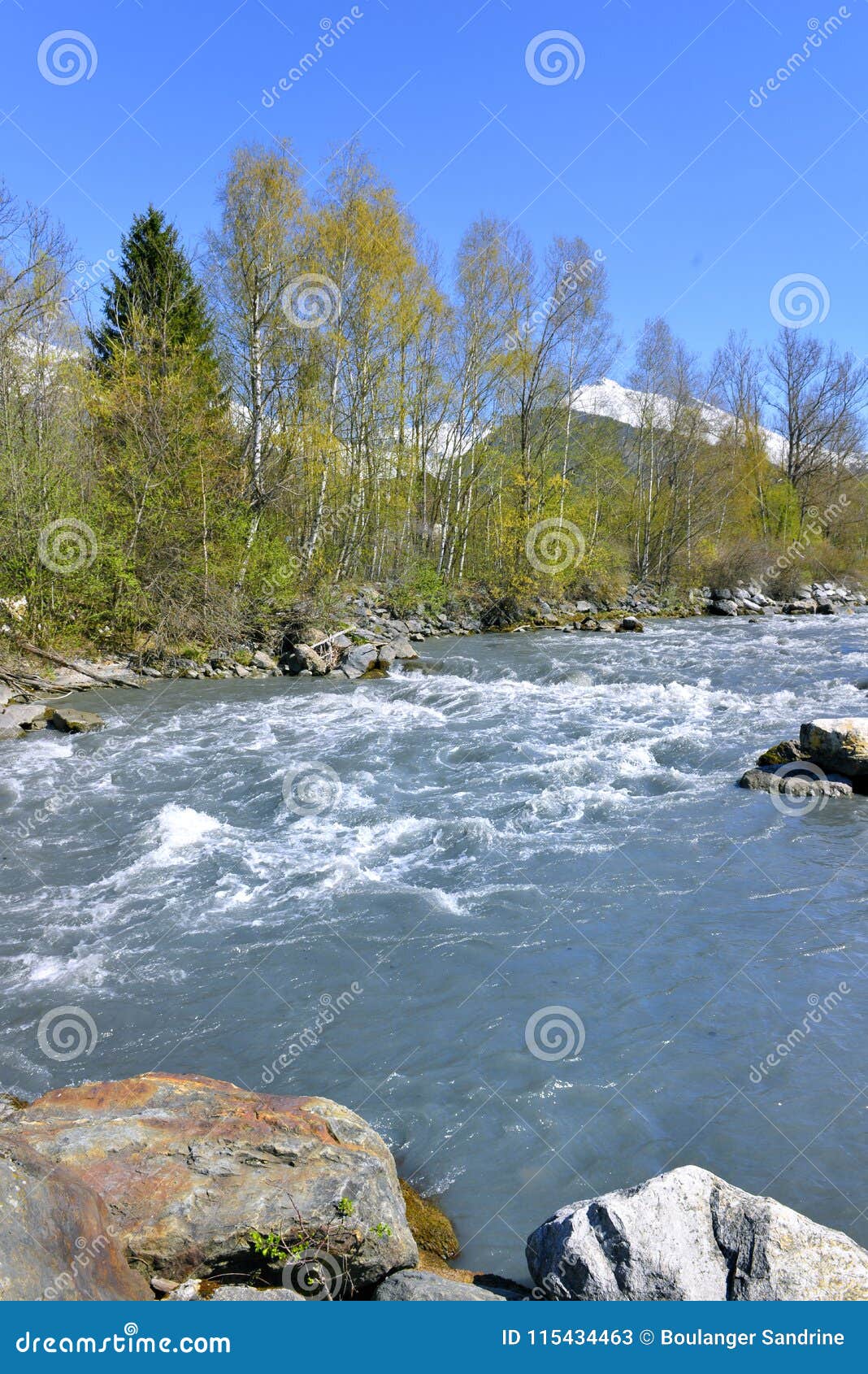 Alpine River Flowing in Spring Stock Image - Image of blue, savoy ...