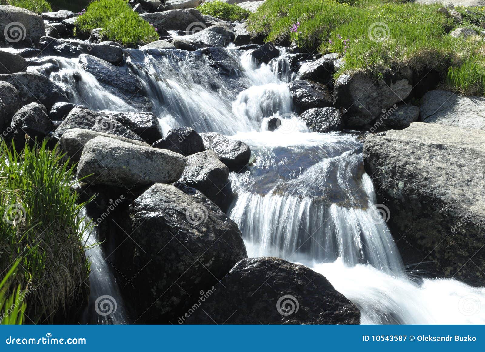 Alpine Stream in Colorado Rocky Mountains Stock Image - Image of rugged ...