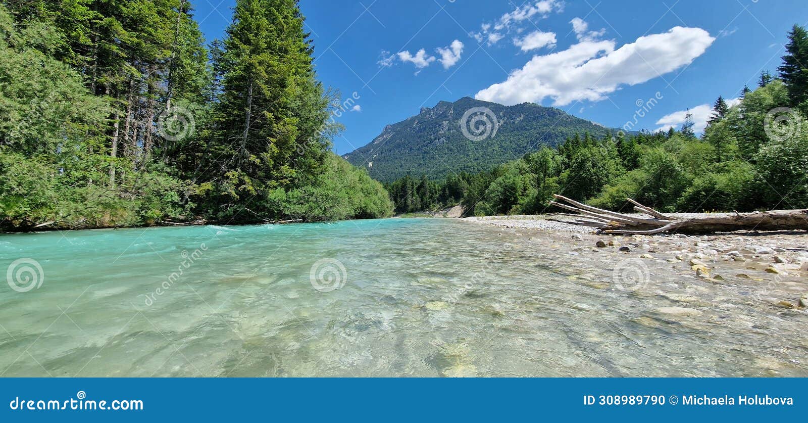 Alpine Stream with Crystal Blue Water Stock Photo - Image of flowing ...