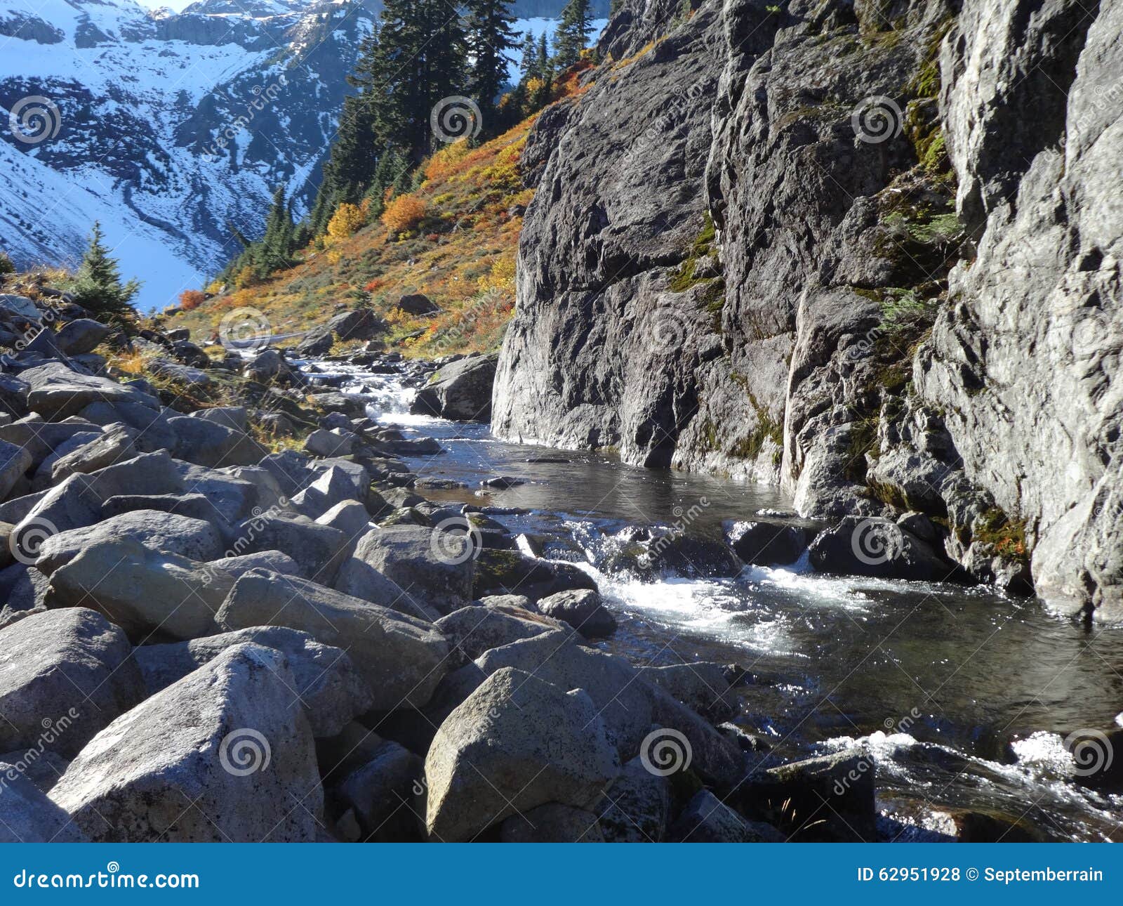 Alpine Stream Late Fall Scene Stock Photo - Image of conservation ...
