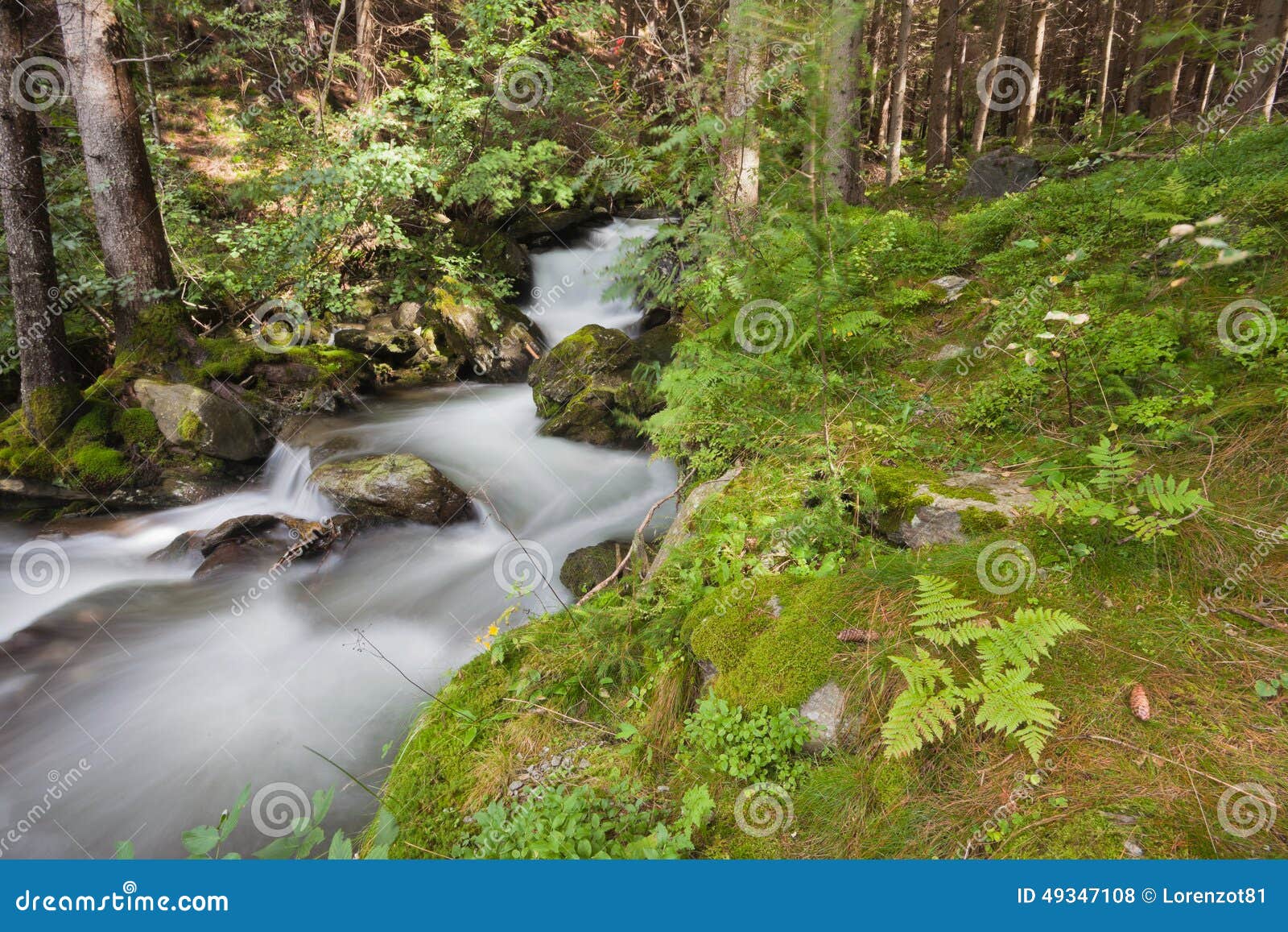 Alpine stream stock photo. Image of long, exposure, calm - 49347108