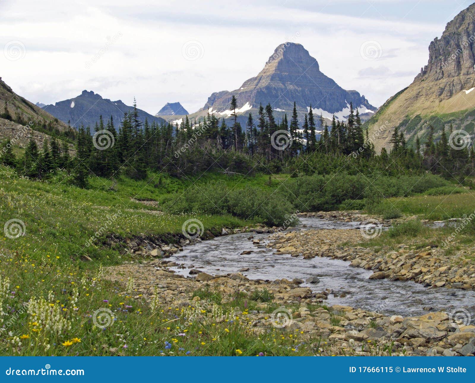 Alpine Stream and Mountains #1 Stock Image - Image of creek, flowers ...