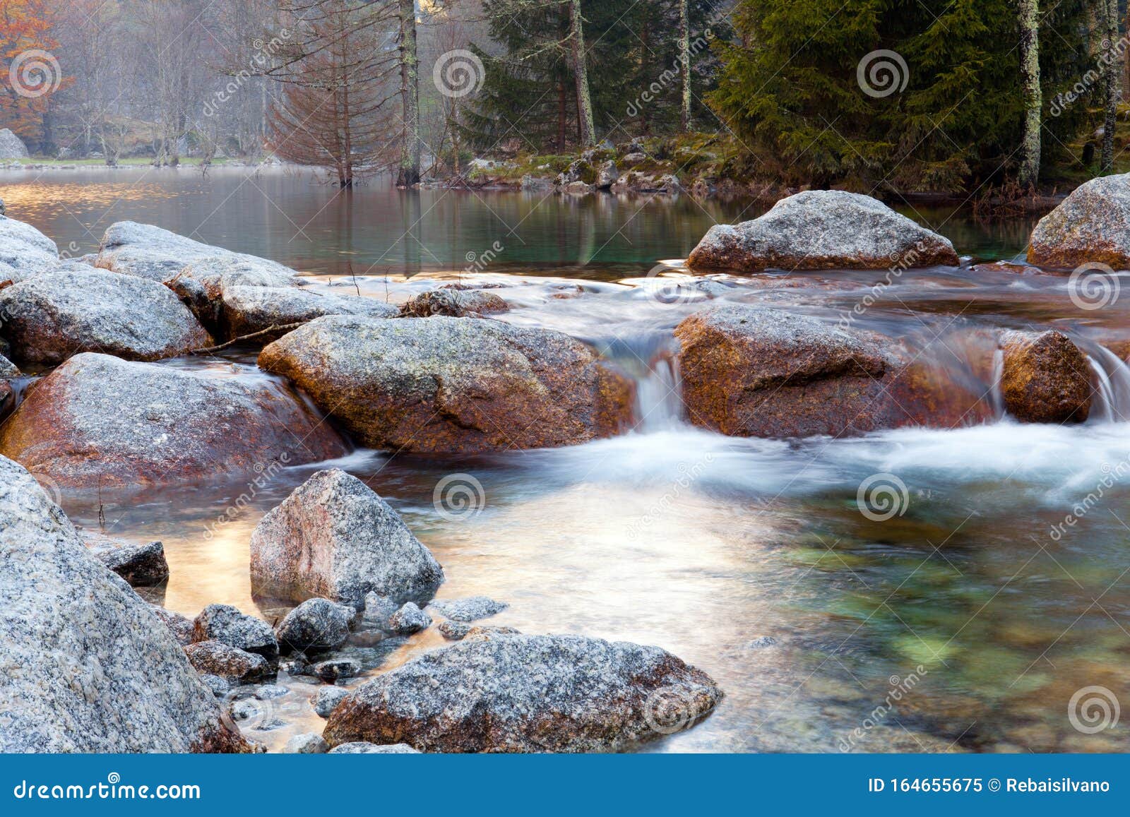 Alpine Stream with Small Waterfalls Stock Image - Image of park, leaf ...