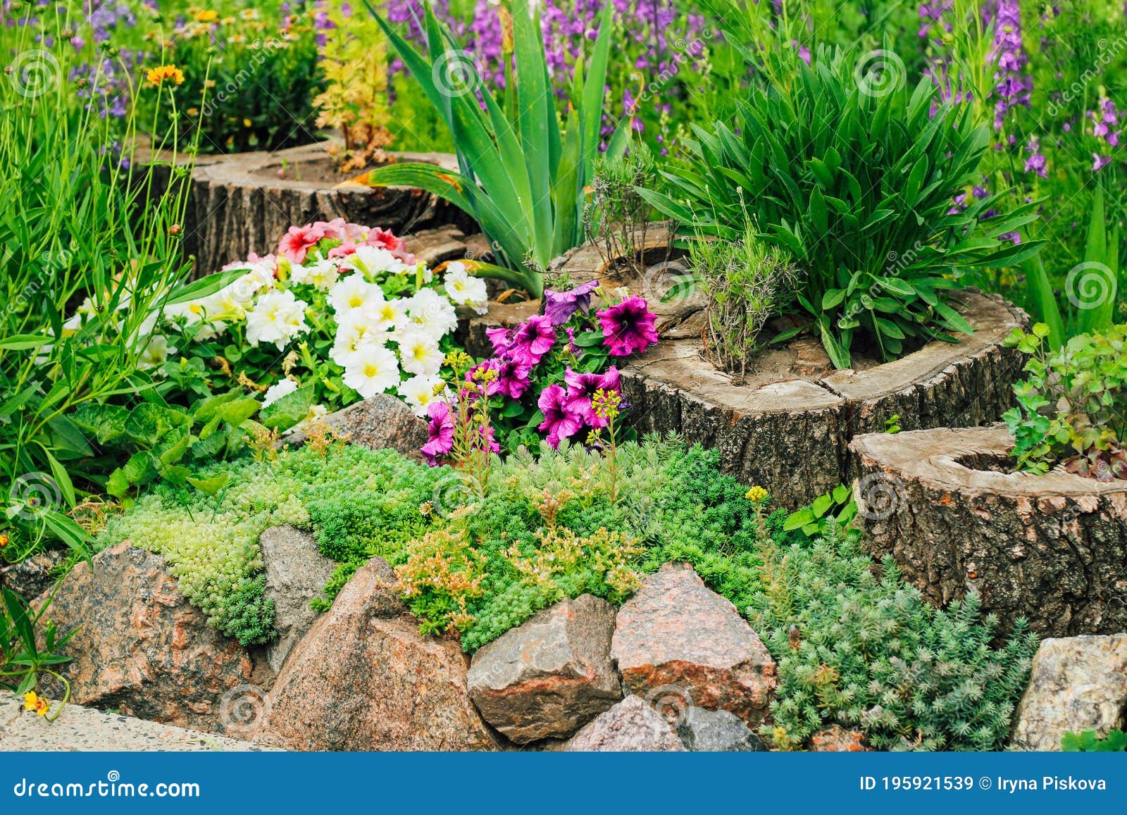 Alpine Style Chalets In French Alps, France Royalty-Free Stock Photo ...