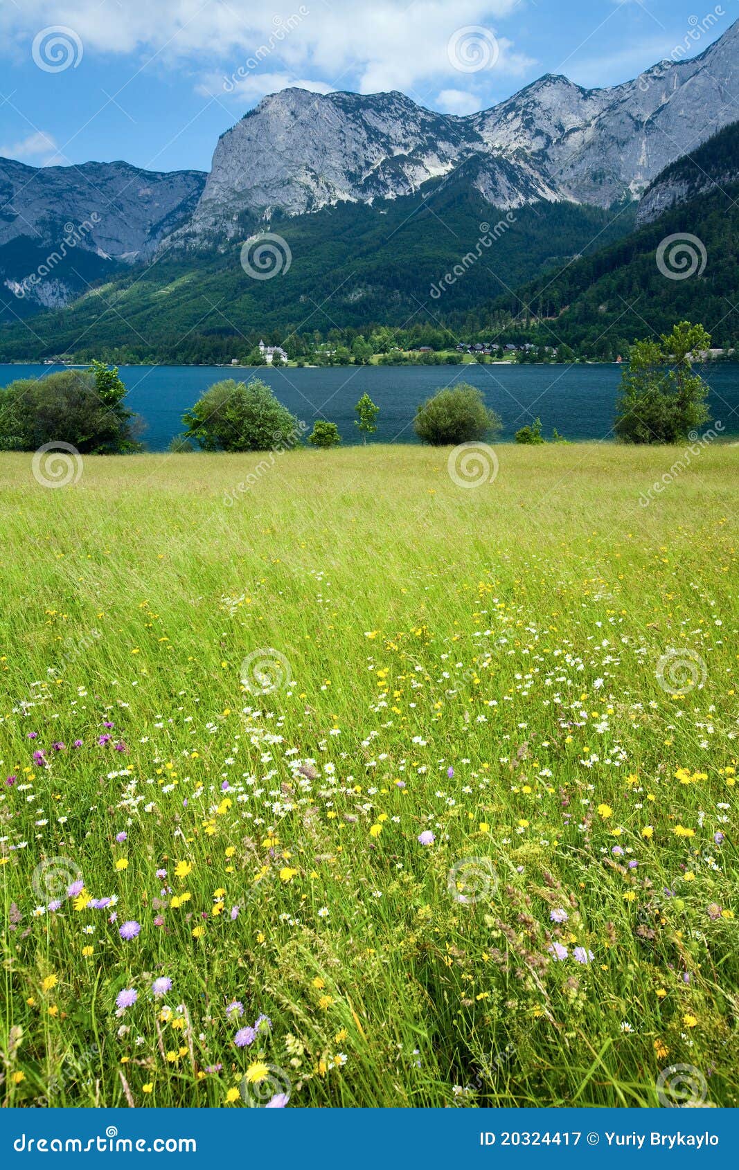 Alpine summer lake view stock image. Image of serene - 20324417