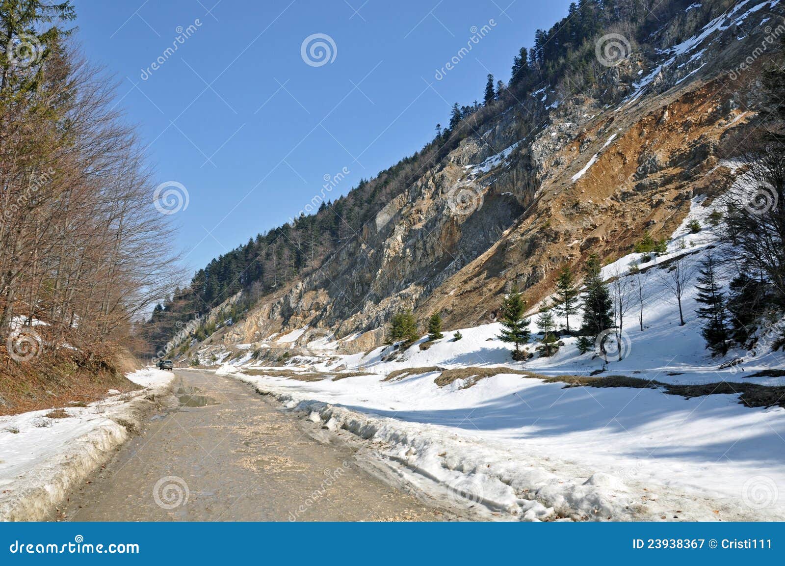 Alpine sunny way stock image. Image of landscape, forest - 23938367