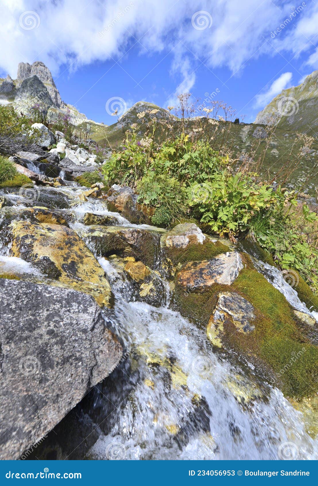 Alpine Torrent Flowing in a the Rocks Stock Image - Image of water ...